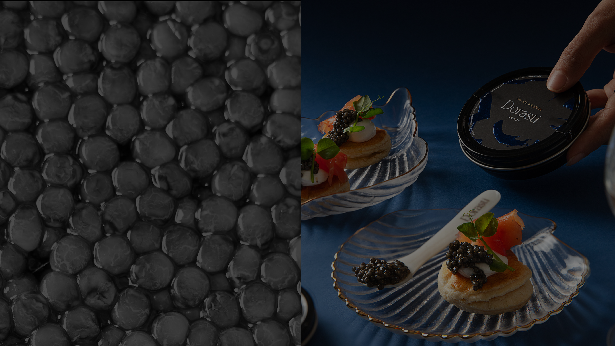 Fancy Food Show x Dorasti– Dorasti Caviar